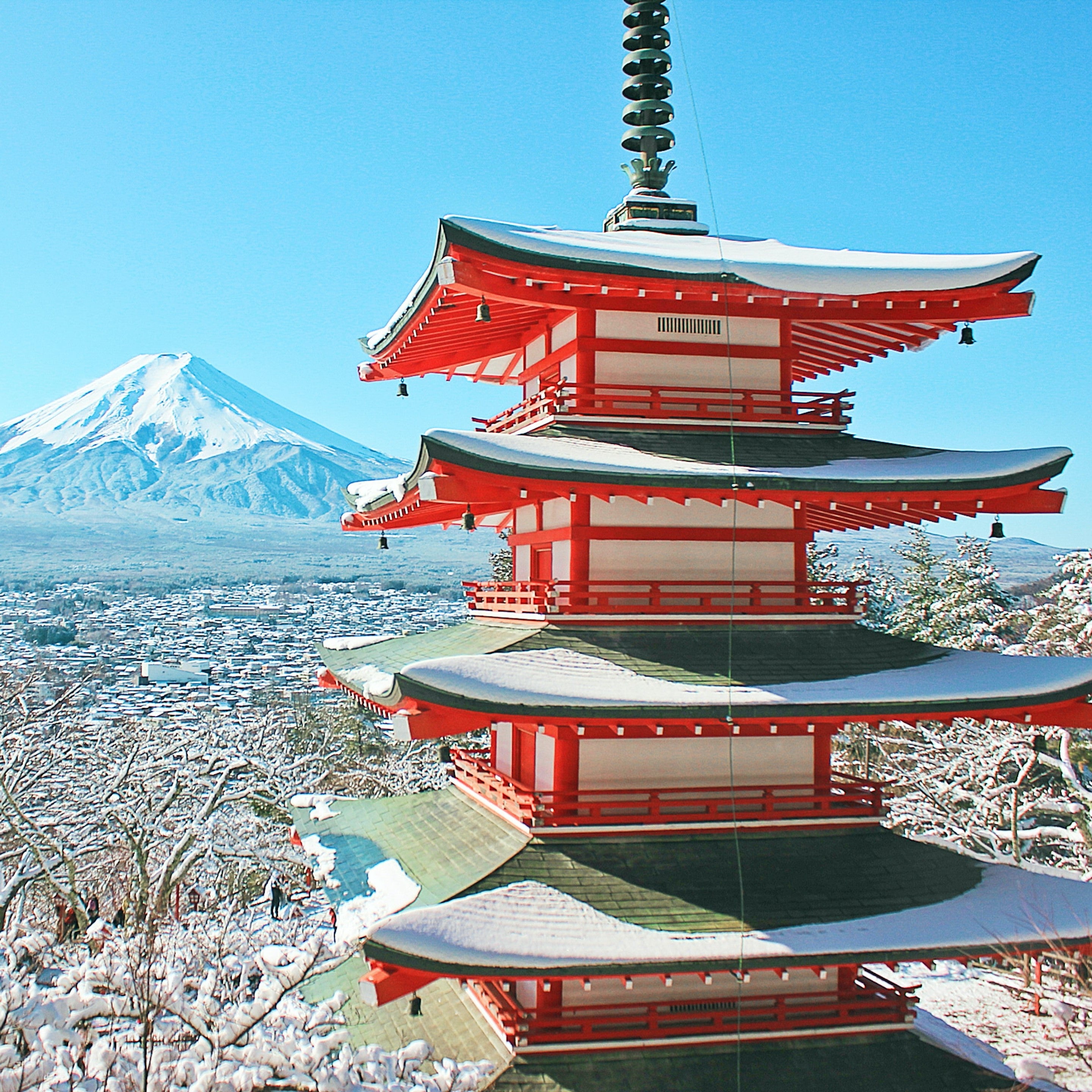 Stay Connected with Lemon Mobile: SIM Cards, eSIMs, IoT & More